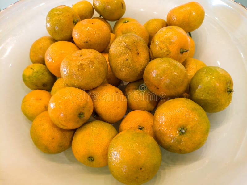 Group of Small Oranges on the Plate Stock Image - Image of juicy, ripe ...