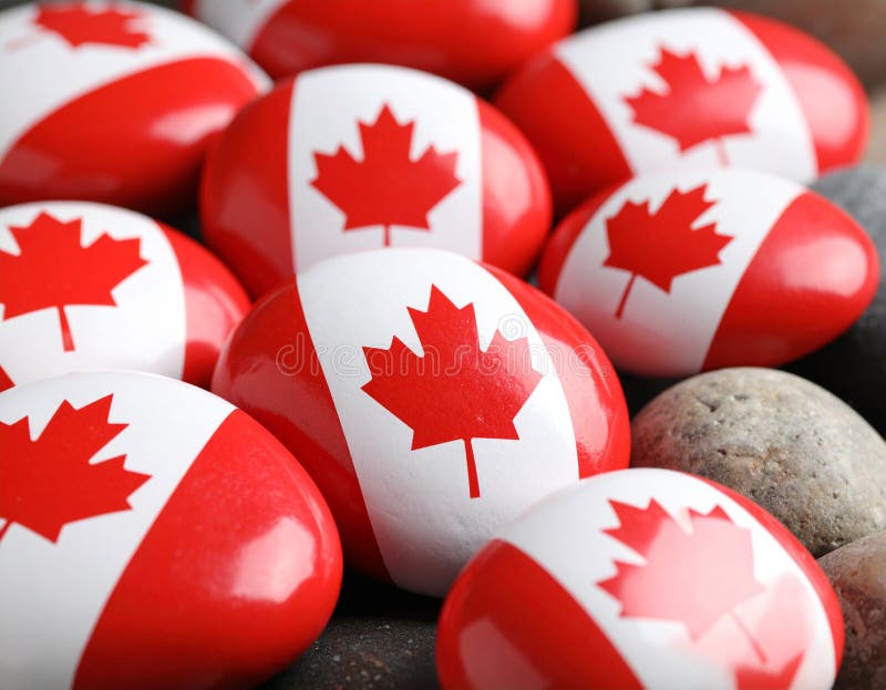 A Group of Small, Red and White Painted Rocks with Maple Leaf Designs ...