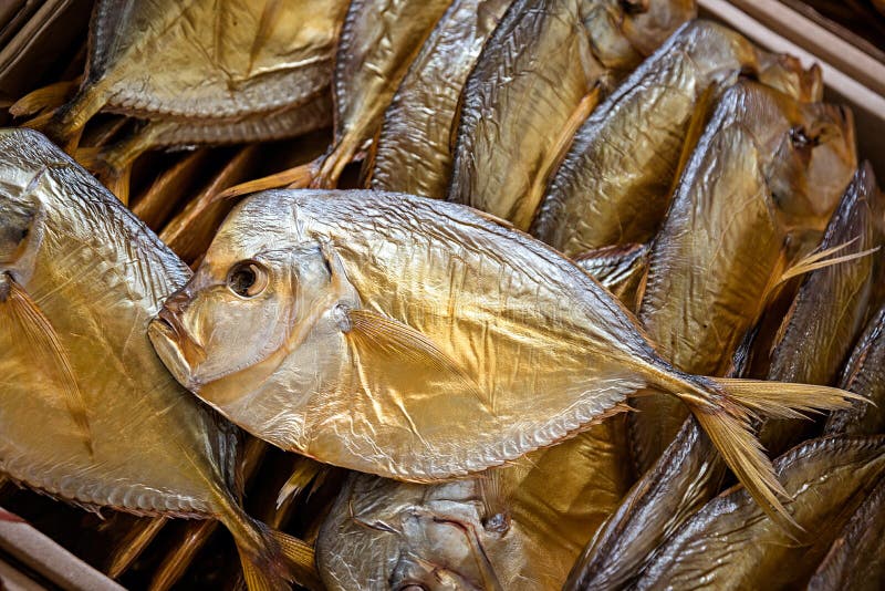 Group of smoked seafood stock image. Image of gourmet - 76732465
