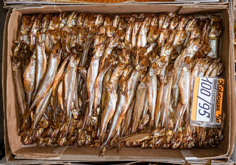 Group of smoked seafood stock photo. Image of lunch, cooking - 84743426