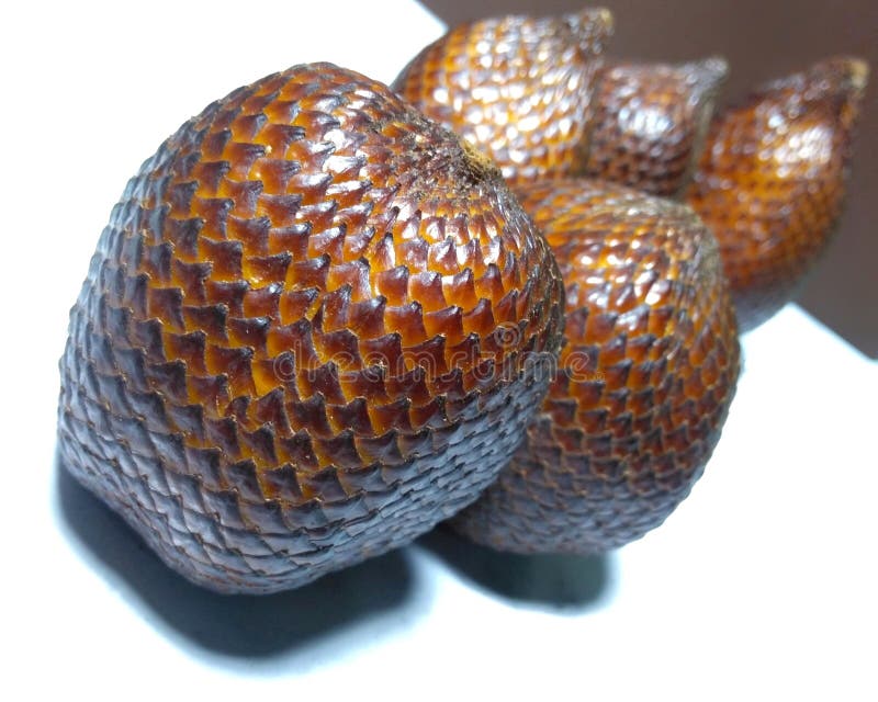 Group of Snake Fruits on the Table Stock Photo - Image of bead, circle ...