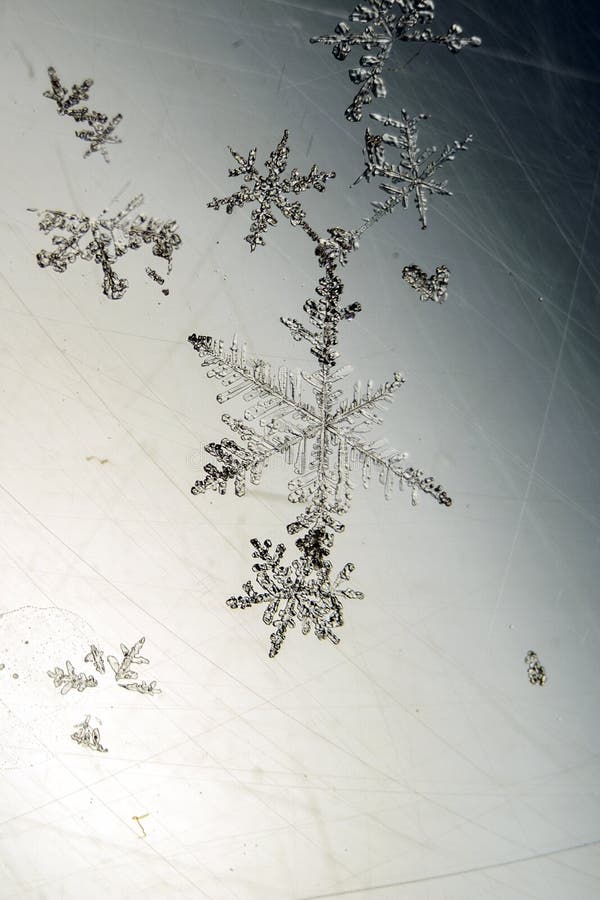 Group of snowflakes detail stock image. Image of shiny - 49254967