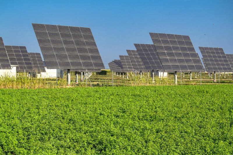 Group of Solar Panels in a Field_06 Stock Photo - Image of modern ...