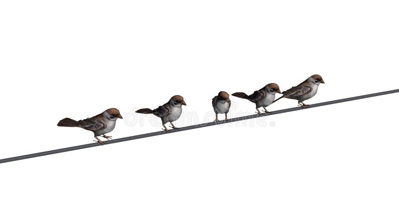 A group of sparrows stock illustration. Illustration of bird - 122418896