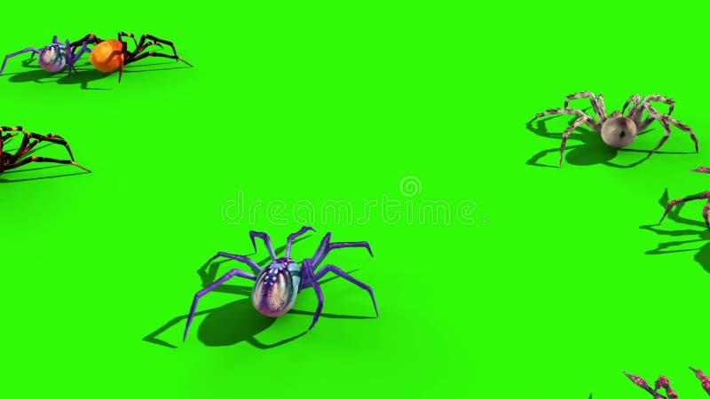 Spider Walkcycle Green Screen Loop 3D Rendering Animation Stock Footage ... Spider Walkcycle Green Screen Loop 3D Rendering Animation Stock Footage ...