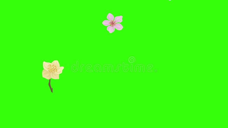 Group of Spring Flowers Animation Elements on Green Screen Chroma Key ...