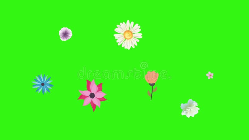Group of Spring Flowers Animation Elements on Green Screen Chroma Key ...