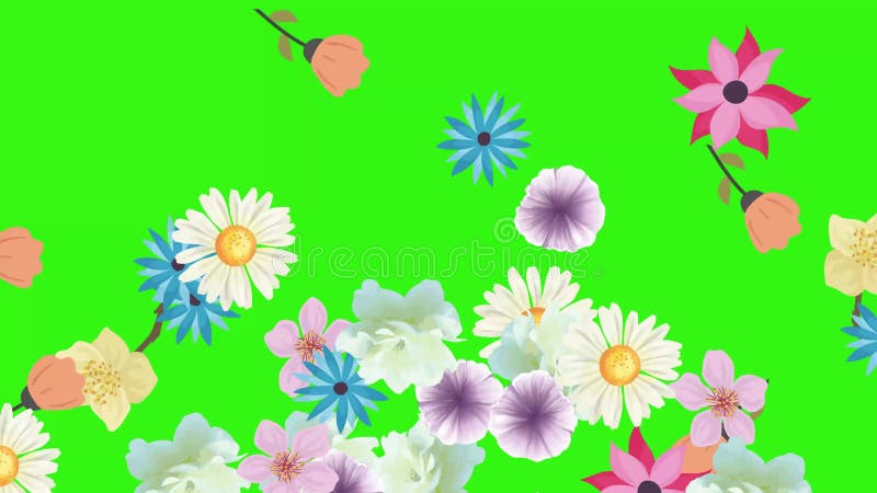 Group of Spring Flowers Animation Elements on Green Screen Chroma Key ...