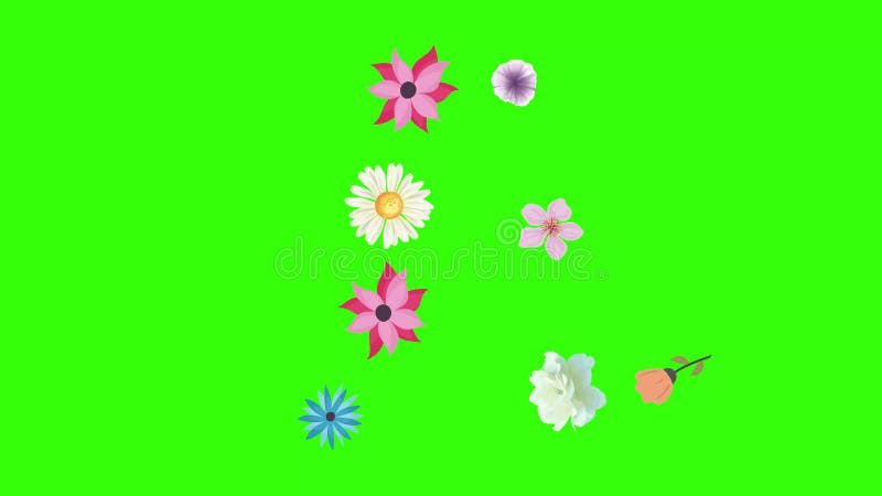Group of Spring Flowers Animation Elements on Green Screen Chroma Key ...