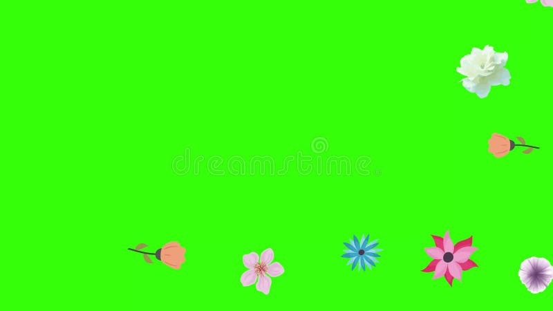 Group of Spring Flowers Animation Elements on Green Screen Chroma Key ...