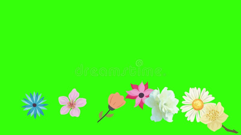 Group of Spring Flowers Animation Elements on Green Screen Chroma Key ...