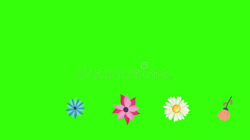 Group of Spring Flowers Animation Elements on Green Screen Chroma Key ...