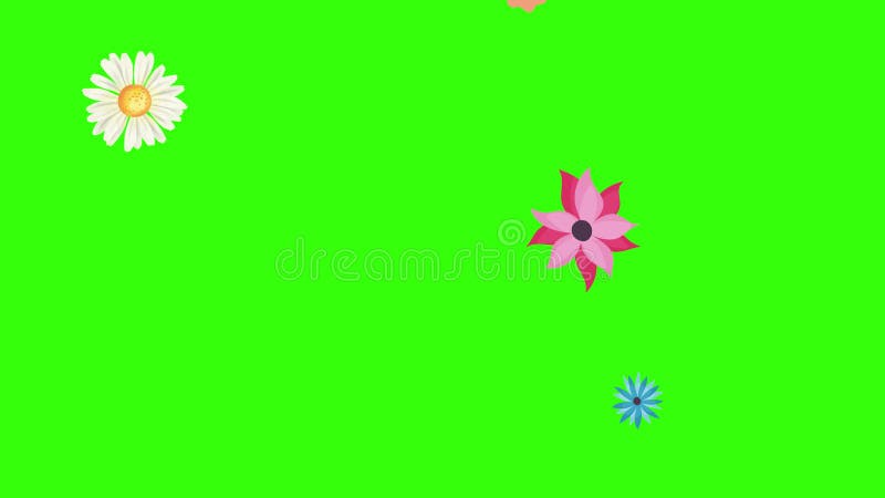 Group of Spring Flowers Animation Elements on Green Screen Chroma Key ...