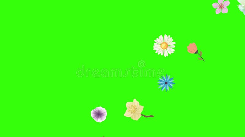 Group of Spring Flowers Animation Elements on Green Screen Chroma Key ...