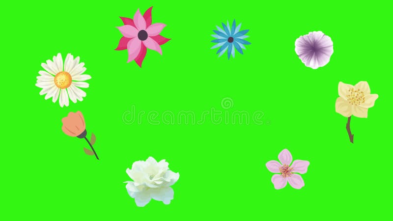 Group of Spring Flowers Animation Elements on Green Screen Chroma Key ...