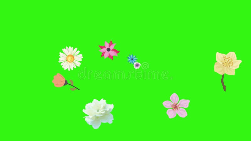 Group of Spring Flowers Animation Elements on Green Screen Chroma Key ...