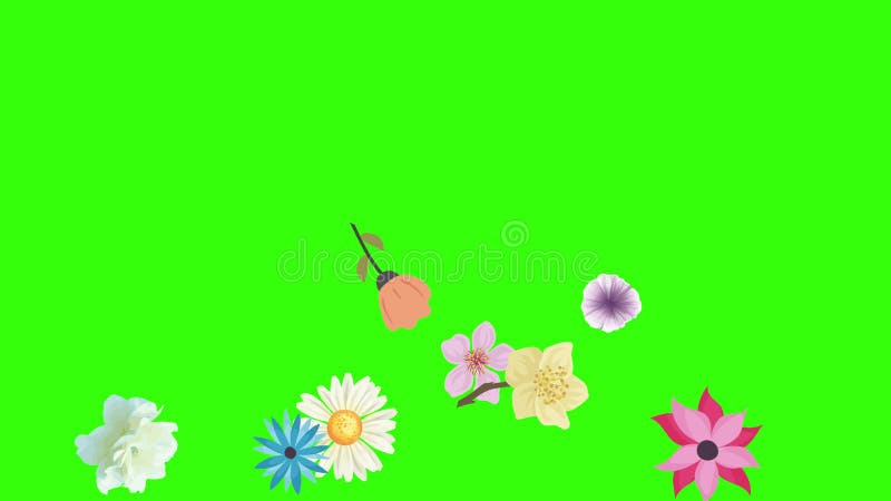 Group of Spring Flowers Animation Elements on Green Screen Chroma Key ...
