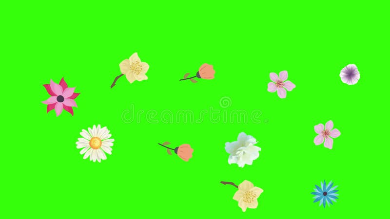 Group of Spring Flowers Animation Elements on Green Screen Chroma Key ...