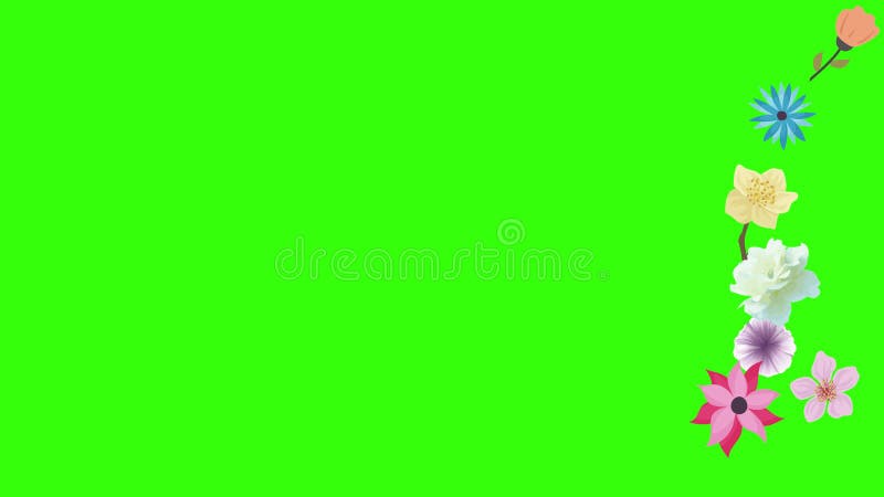Group of Spring Flowers Animation Elements on Green Screen Chroma Key ...