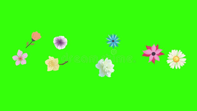 Group of Spring Flowers Animation Elements on Green Screen Chroma Key ...