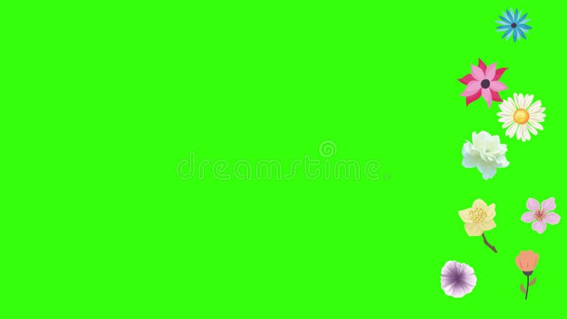 Group of Spring Flowers Animation Elements on Green Screen Chroma Key ...