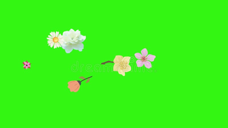 Group of Spring Flowers Animation Elements on Green Screen Chroma Key ...