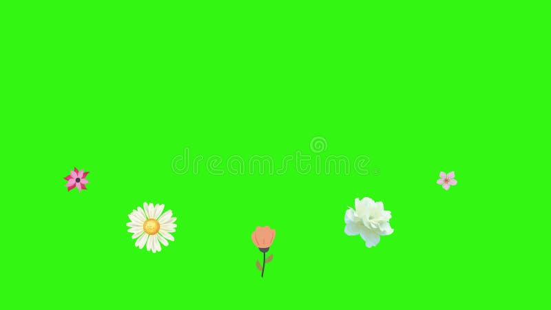 Group of Spring Flowers Animation Elements on Green Screen Chroma Key ...