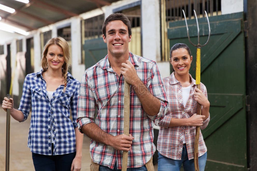 Group stable workers stock photo. Image of female, holding - 43064152