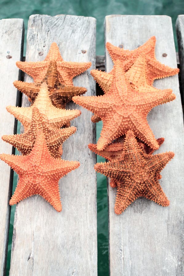 Group of Starfish on Wooden Boards of Old Pier Stock Image - Image of ...