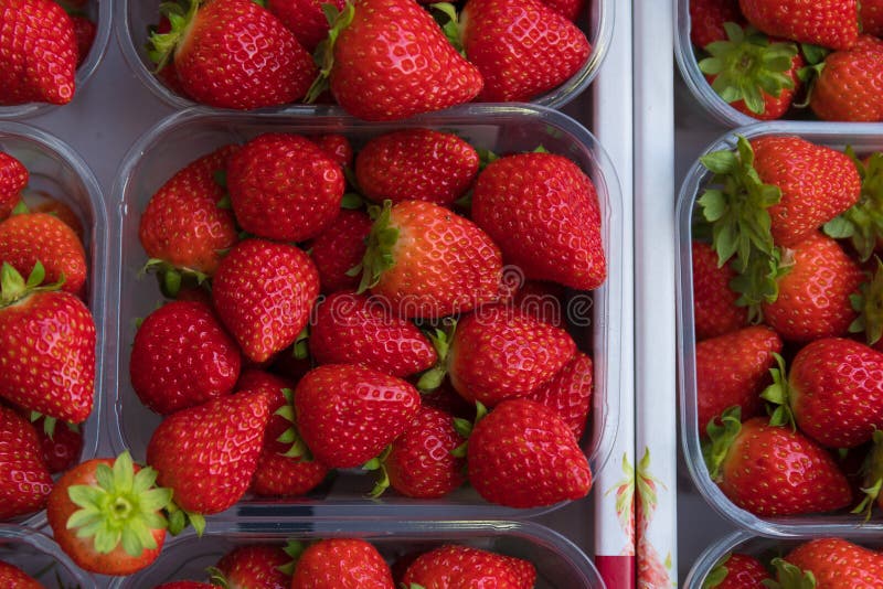 Group of Strawberries in the Plastic Box Stock Image - Image of nature ...