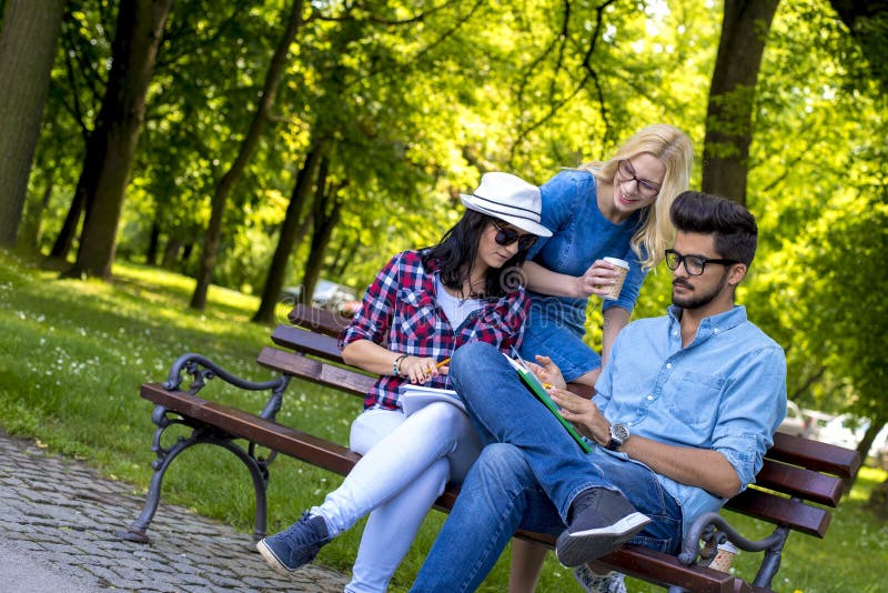 Group of Students Doing Homework Together in Campus Park Stock Image ...