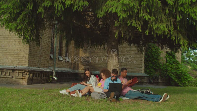 Group of Students Studying Using Gadgets Sitting Under Tree Outdoors ...