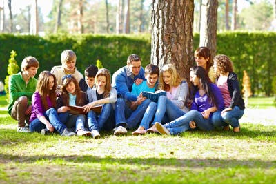 Group of Students Under the Tree Stock Image - Image of school, casual ...