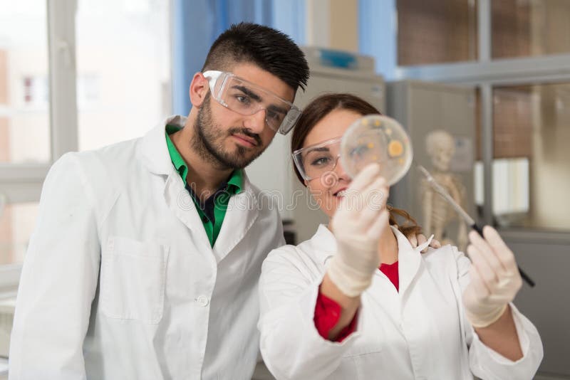 Group of Students Working at Laboratory Stock Photo - Image of ...