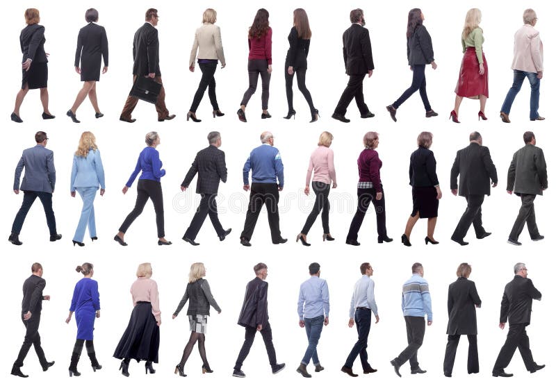 Group of Successful Business People Isolated on White Stock Image ...