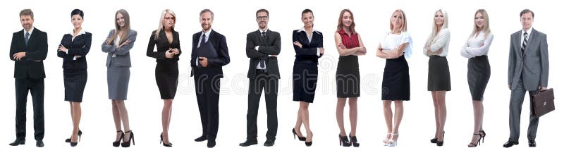 Group of Successful Business People Standing in a Row. Stock Photo ...