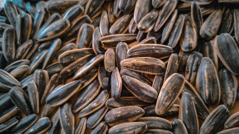 Group on Sunflower Seeds in Shell and Salt Stock Image - Image of seeds ...