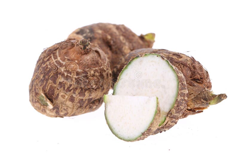 Group of Taro or Arbi or Aravi Roots with One Cut in Cross Sections ...