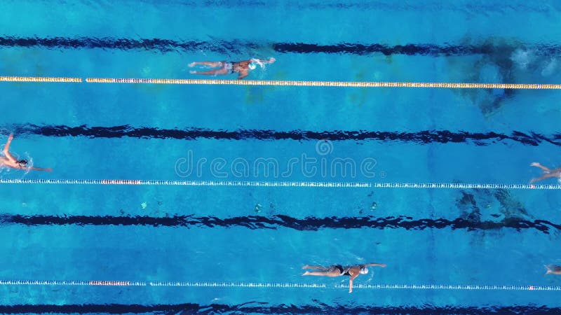 Group of Swimmers Training in an Outdoor Pool Top View Stock Video ...