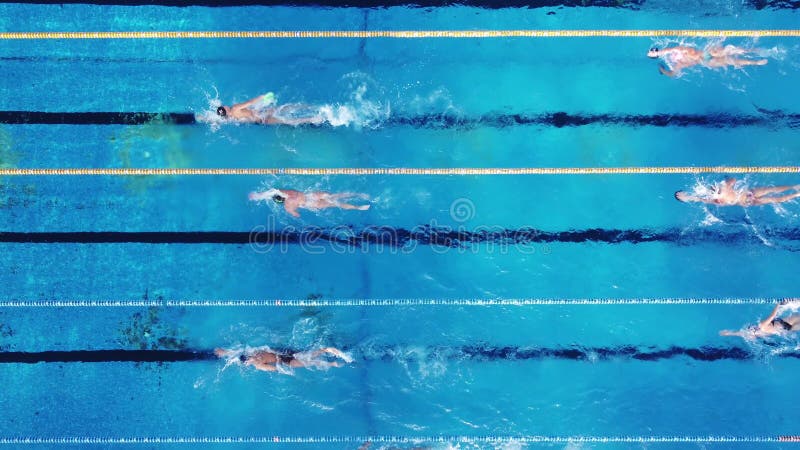 Group of Swimmers Training in an Outdoor Pool Top View Stock Footage ...