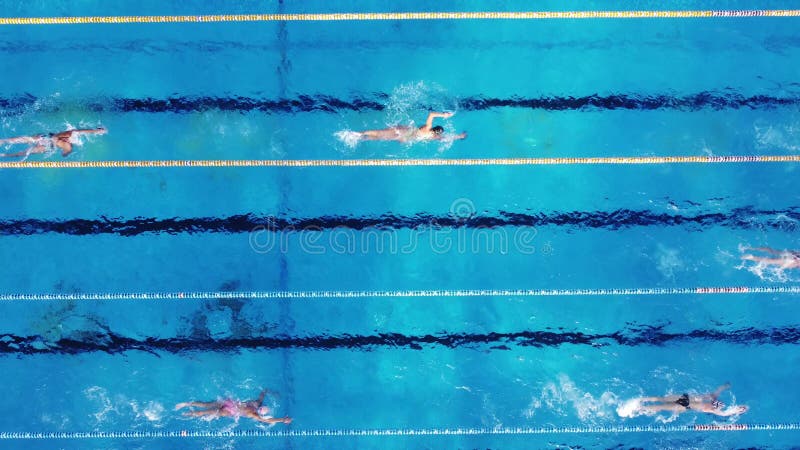 Group of Swimmers Training in an Outdoor Pool Top View Stock Footage ...