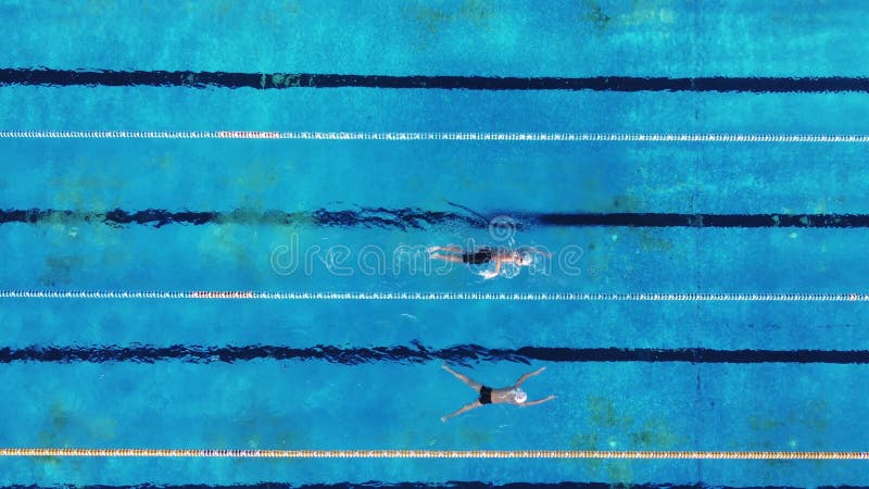 Group of Swimmers Training in an Outdoor Pool Top View Stock Footage ...