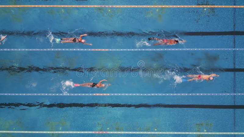 Group of Swimmers Training in an Outdoor Pool Top View Stock Footage ...