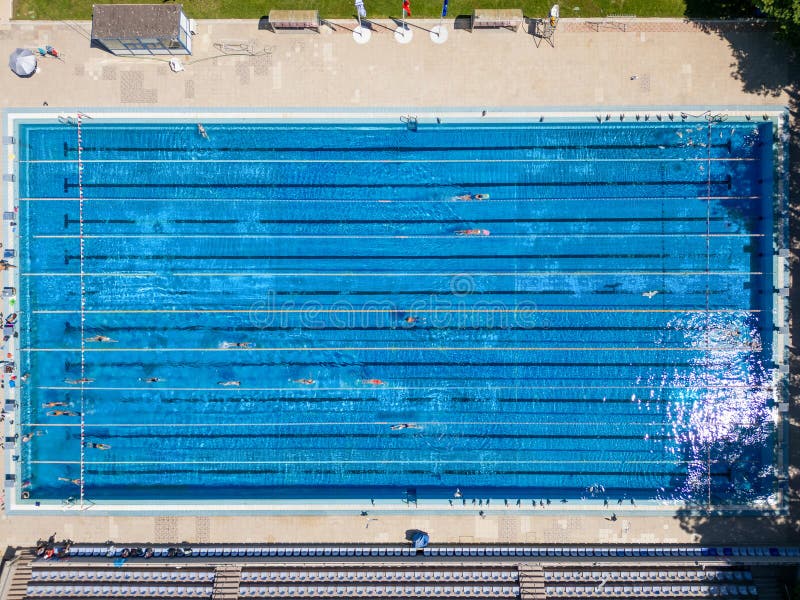 Group Swimmers Training Outdoor Pool Top Down View Stock Photos - Free ...