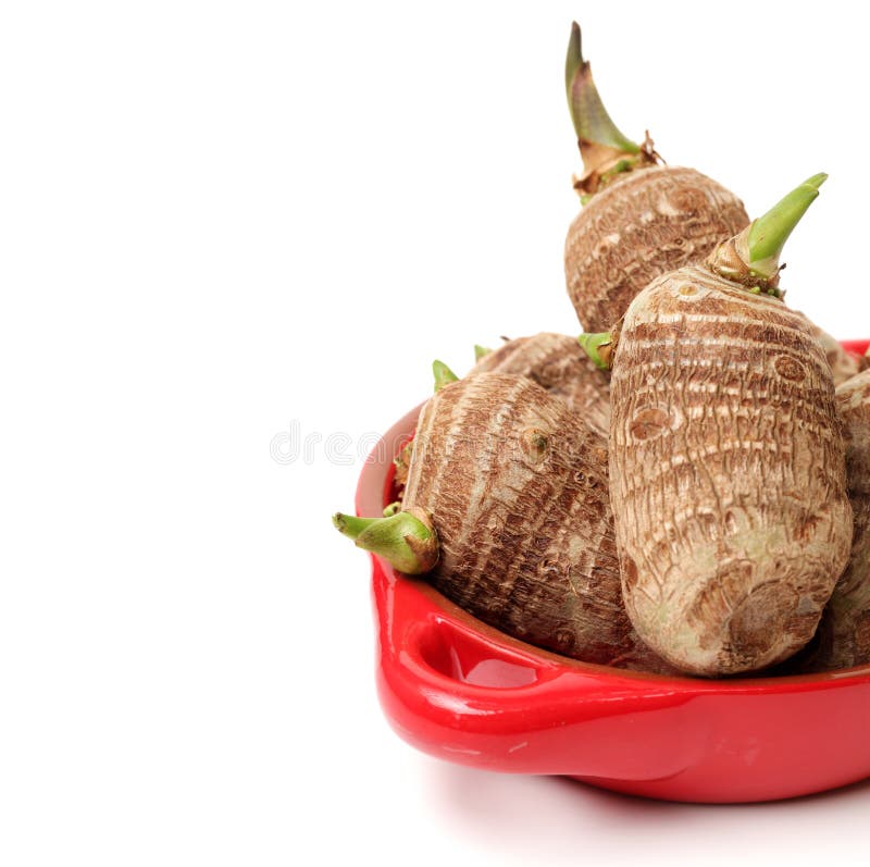 Group of Taro or Arbi or Aravi Roots with One Cut in Cross Sections ...