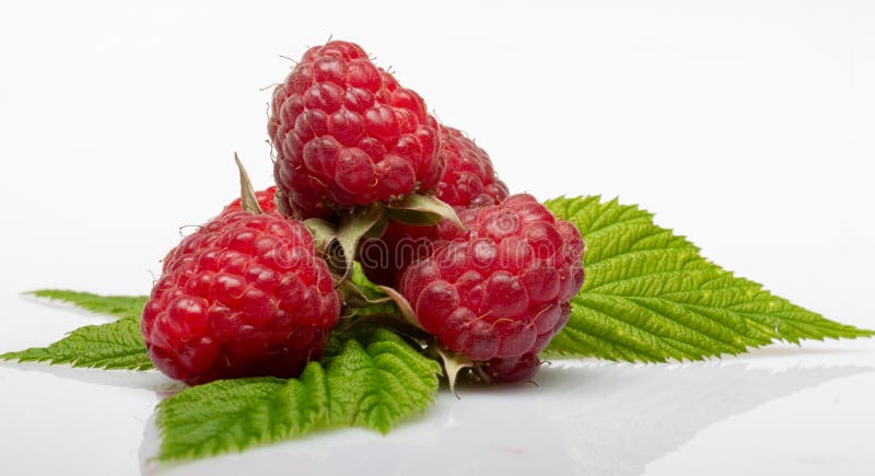 Group of Three Raspberries with Leaves Isolated on a White Background ...