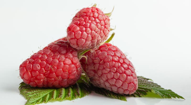 Group of Three Raspberries with Leaves Isolated on a White Background ...