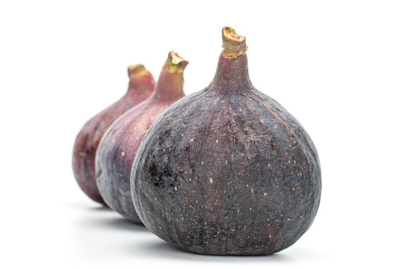 116 Fig Isolated Raw Row Stock Photos - Free & Royalty-Free Stock ...