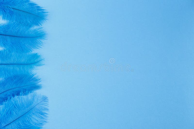 Group of Fluffy Blue Feathers Border Background Stock Image - Image of ...