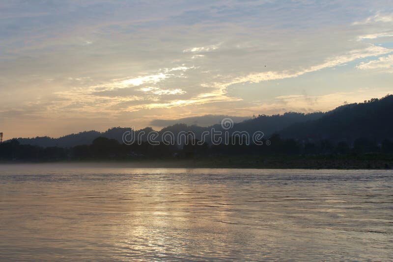 A Group of Tiny Daisy Flowers in the Valley of Himalaya. Stock Photo ...